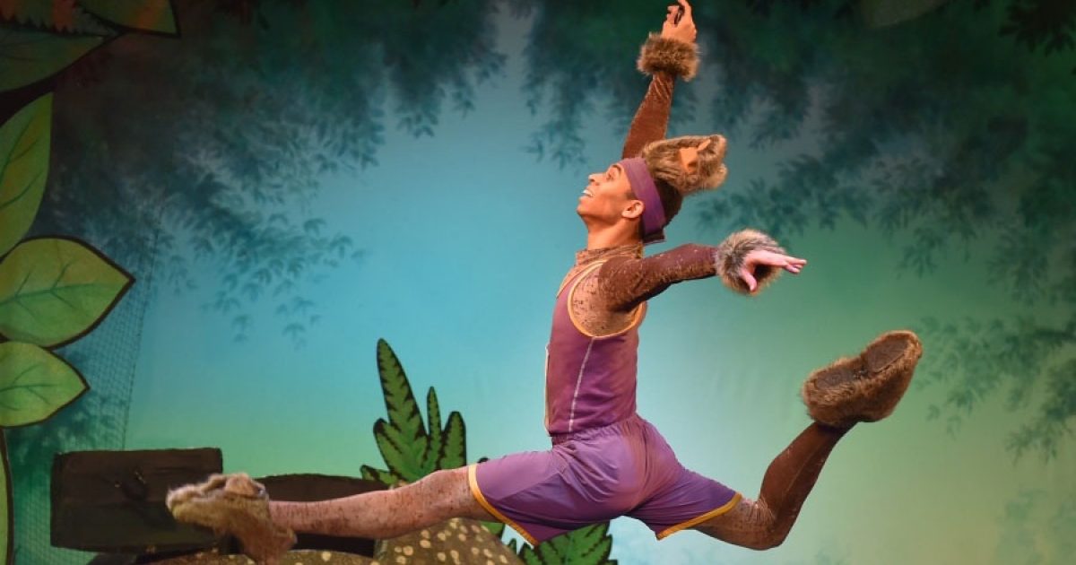 Northern Bite Size Ballet - Tortoise & The Hare | Movies & Arthouse ...