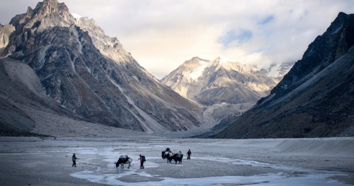 ADVENTURE CLUB: The Wall of Shadows | Movies & Arthouse Films | Zeffirellis